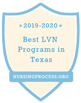 Nursing - Vocational Nursing | Academic and Career Programs | Austin ...