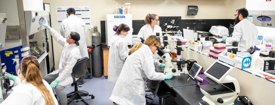 Biotechnology | Academic and Career Programs | Austin Community College ...