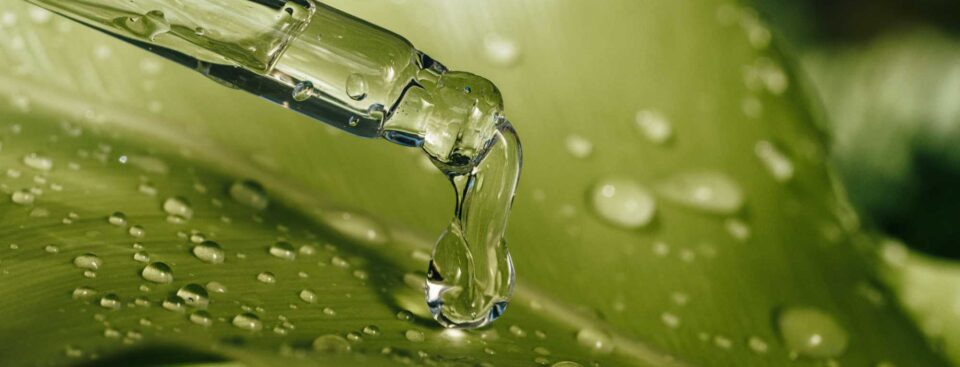 Conservation Science and Wildlife Management | Academic and Career ...