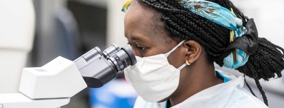 Medical Laboratory Technology | Academic and Career Programs | Austin ...