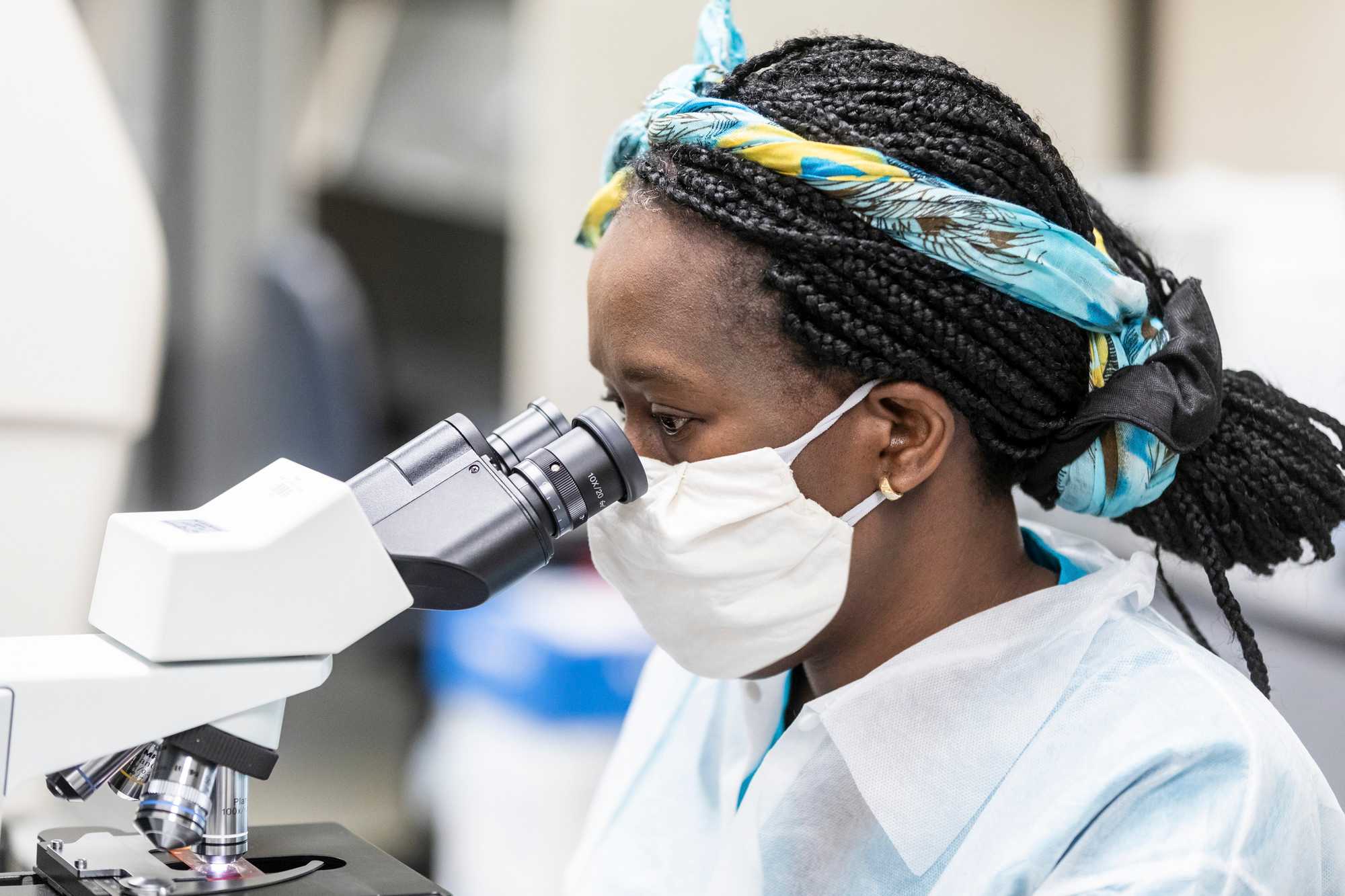 Medical Laboratory Technology | Academic and Career Programs | Austin ...