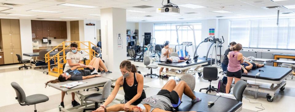 Physical Therapist Assistant | Academic and Career Programs | Austin ...