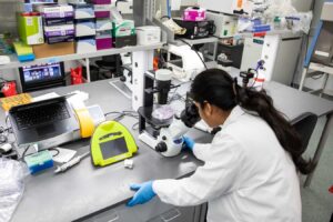 Science, Engineering & Math | Academic and Career Programs | Austin ...