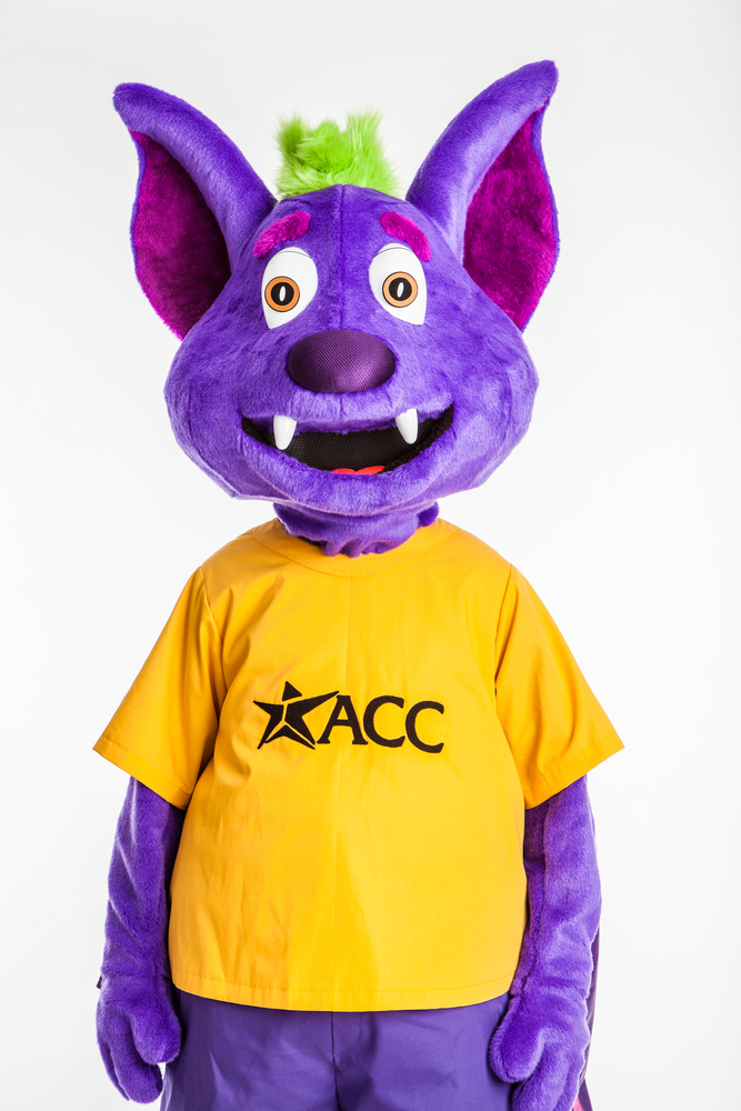 ACC Online Classes | Academic and Career Programs | Austin Community ...